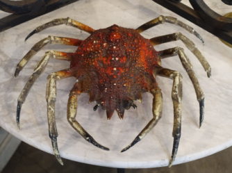 Dekoration - unik samling til dekoration af hjemmet